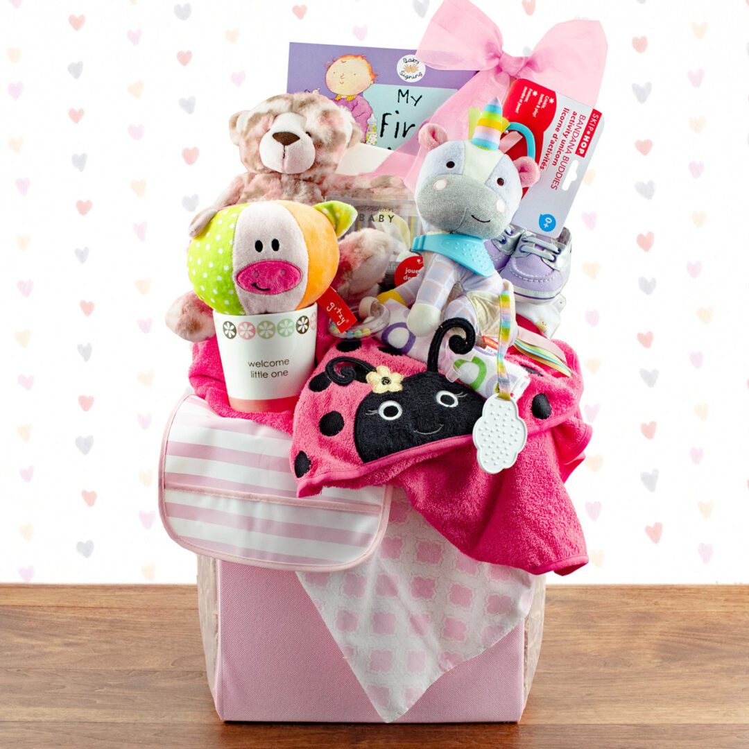 Congratulations: Baby Girl Gift Basket - So Fly